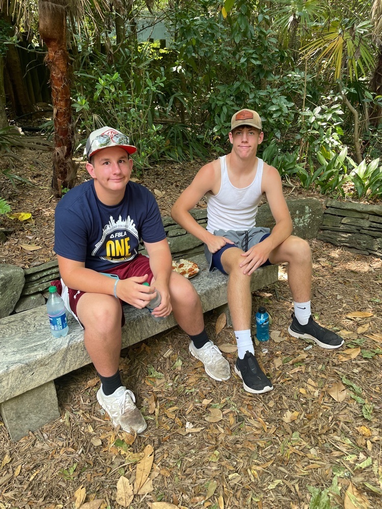 Live Feed | Waverly Schools